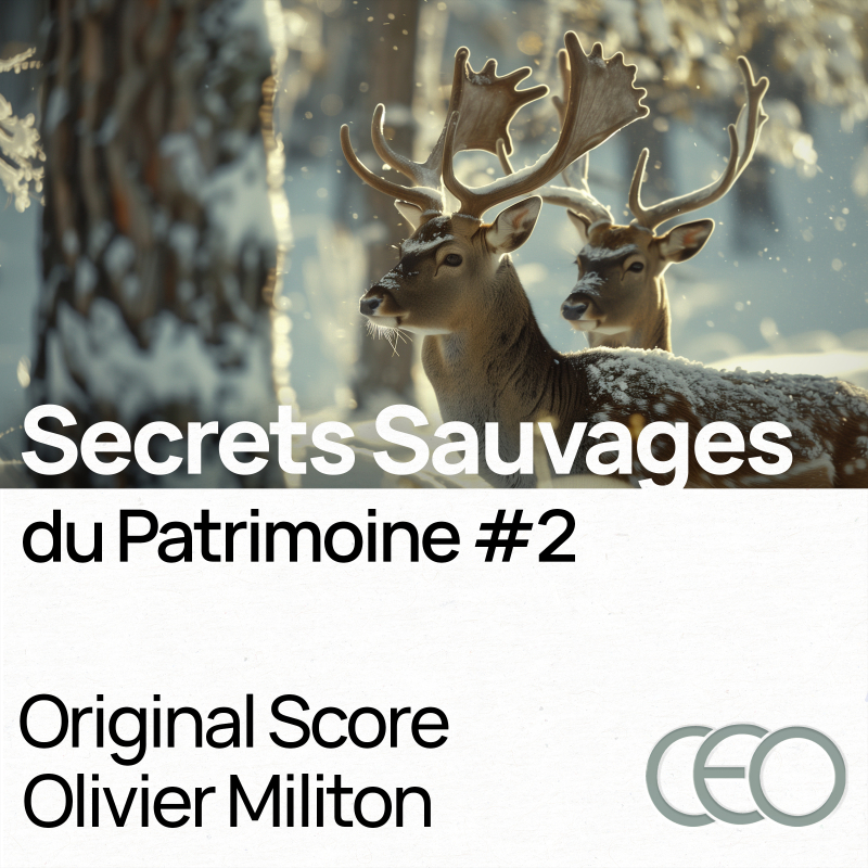 Album Secrets in the Wild / Vol 2 - Original Score by Olivier Militon ...